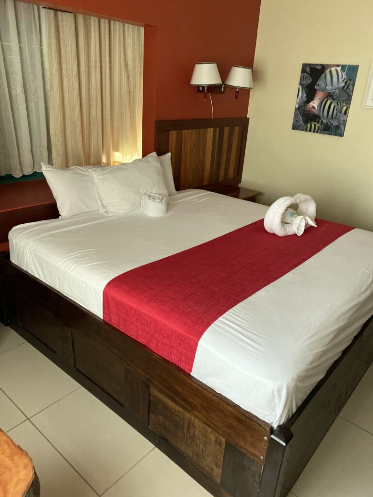 Standard King - Double Occupancy - Caye Caulker Hotel